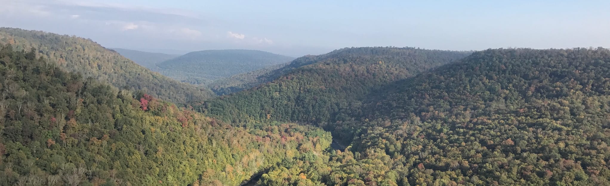 Canyon Vista Trail: 641 Reviews, Map - Pennsylvania | AllTrails