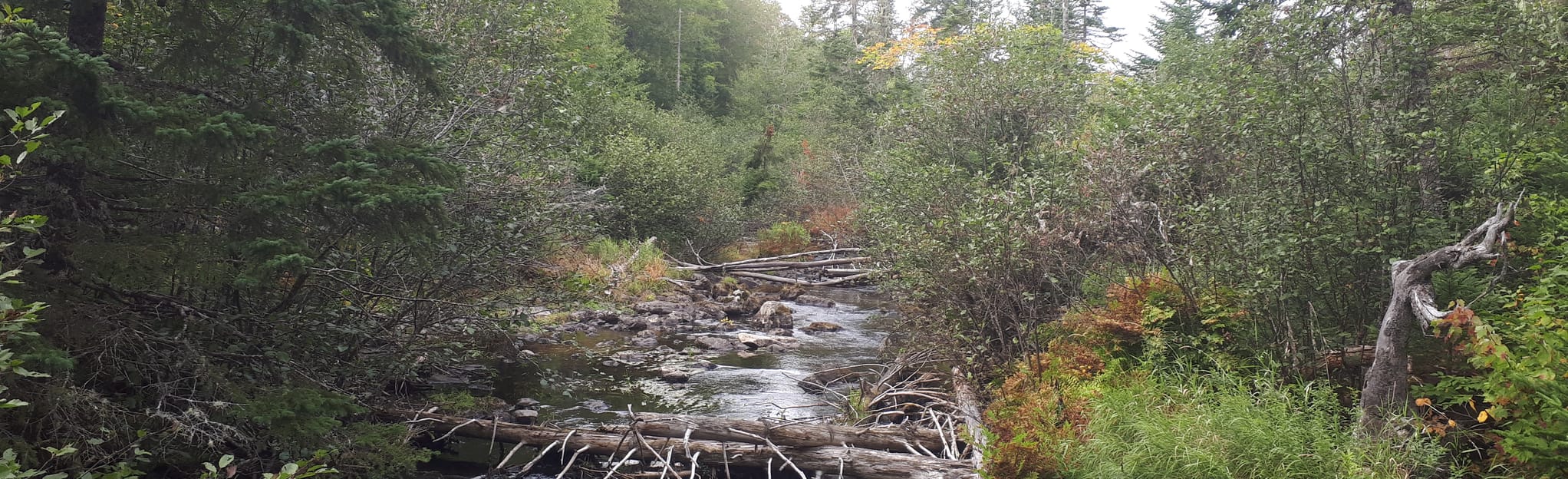 Meguma Falls via Earltown Lake and Portage Trail: 21 Reviews, Map ...