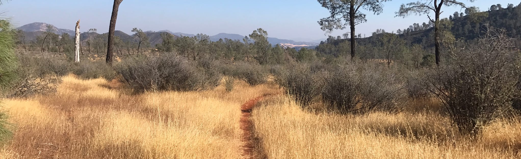 Soaproot Ridge, Six Bit, Old Stage Loop, California - 189 Reviews, Map ...