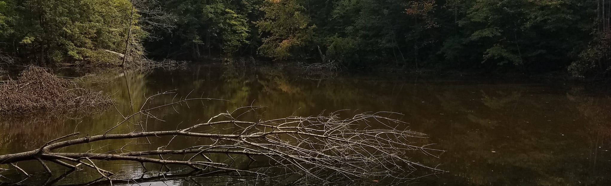 Elliot Woods Trail - Prairie Creek Park: 109 Reviews, Map - Indiana ...