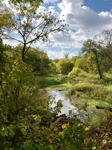 Best Hikes and Trails in Turtle River State Park | AllTrails