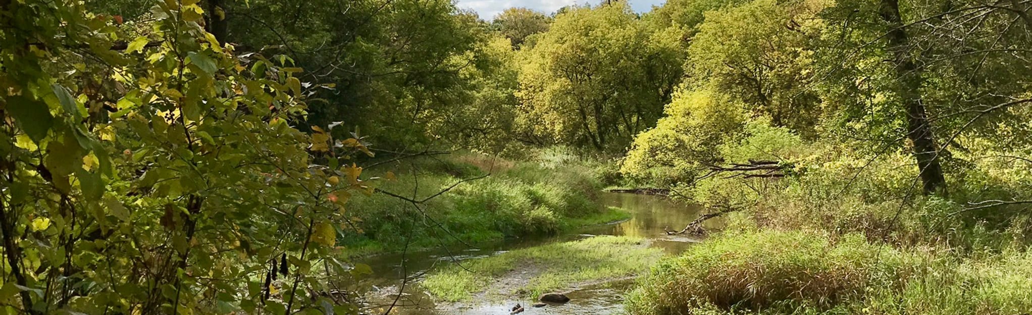 AllTrails | Turtle River Nature Trail: 109 Reviews, Map - North Dakota