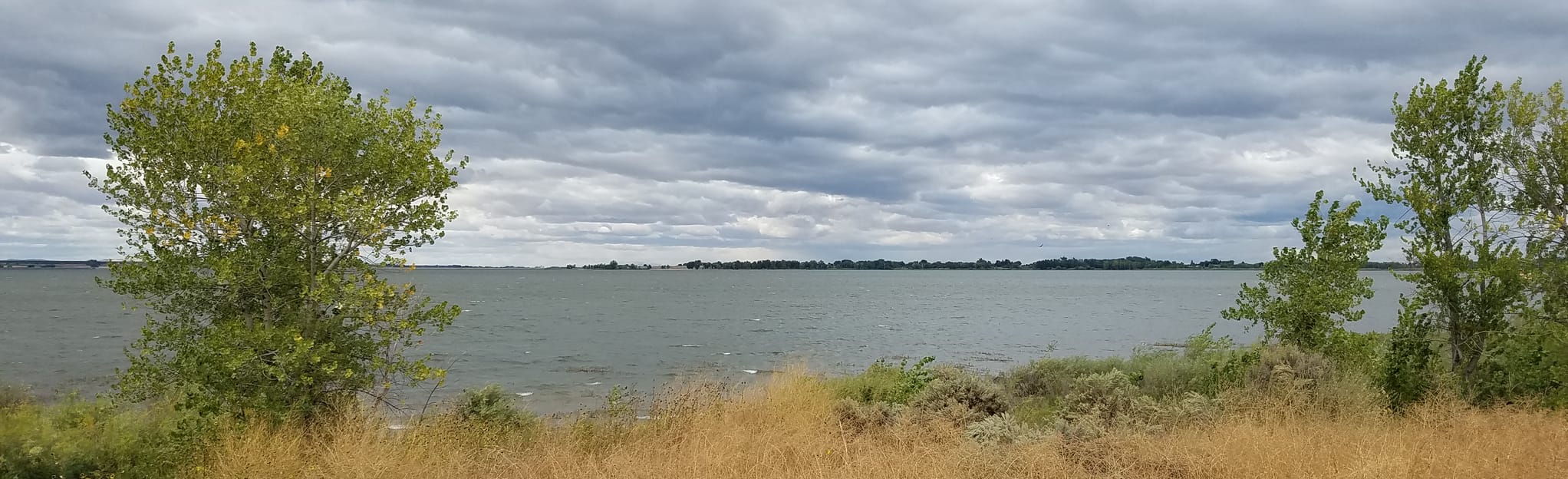 Observation Hill Trail: 363 Reviews, Map - Idaho | AllTrails