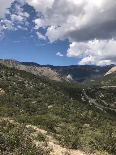 10 Best Hikes and Trails in Spring Mountains National Recreation Area ...