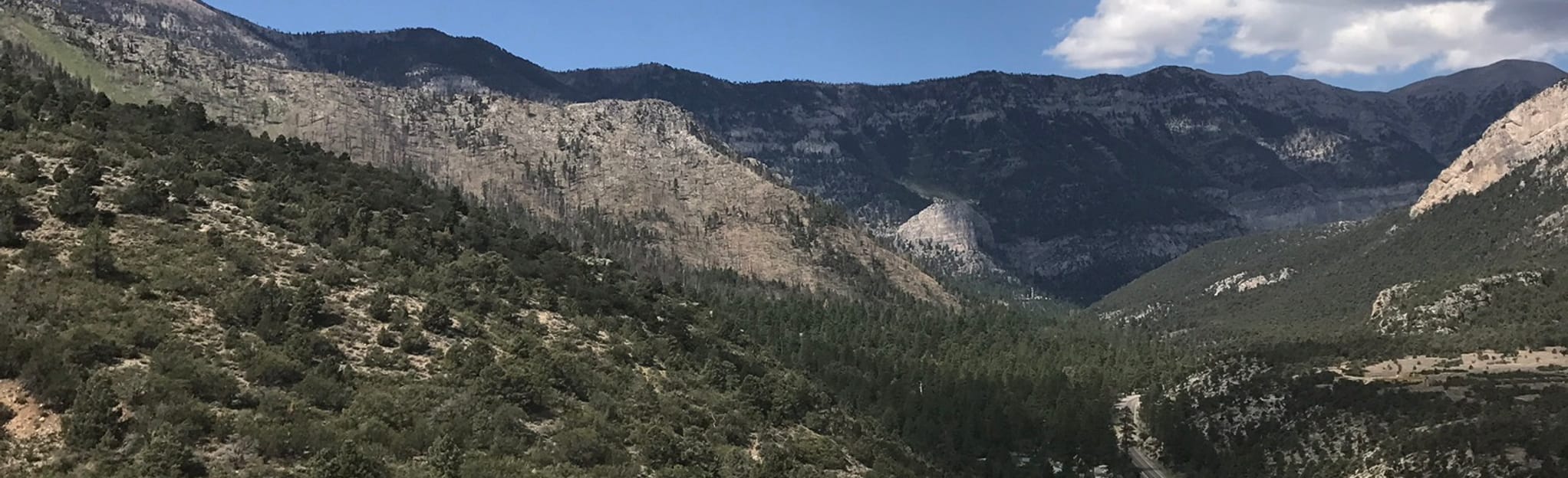 Escarpment Trail Loop, Nevada - 304 Reviews, Map | AllTrails