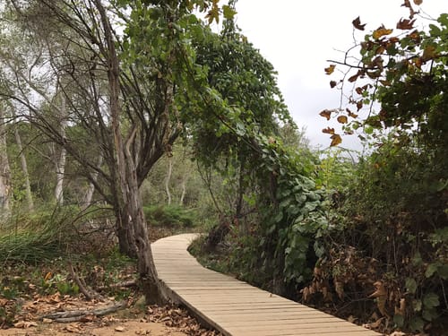 2023 Best 10 Trails and Hikes in Fallbrook | AllTrails