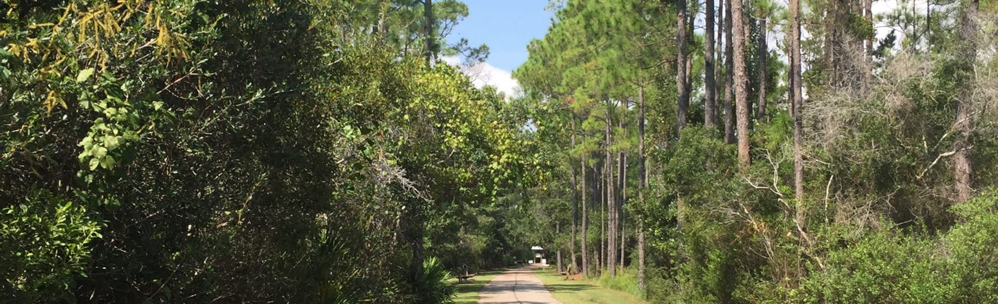 Catman Trail, Alabama - 253 Reviews, Map | AllTrails