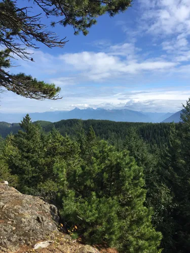 10 Best Hikes and Trails in Vedder Mountain Interpretive Forest | AllTrails