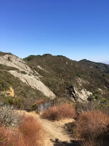 10 Best Trails and Hikes in San Ramon | AllTrails