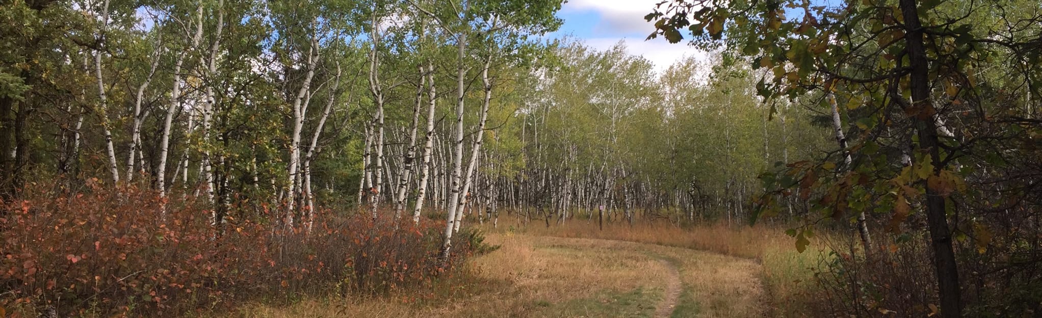 Cedar Bog Trail - Bluestem Trail - Lime Kiln Trail - Nimowin Trail: 72 ...