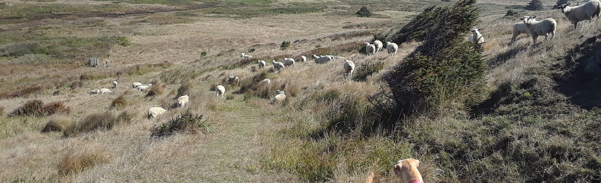 Hughes House Trail: 22 Reviews, Map - Oregon | AllTrails