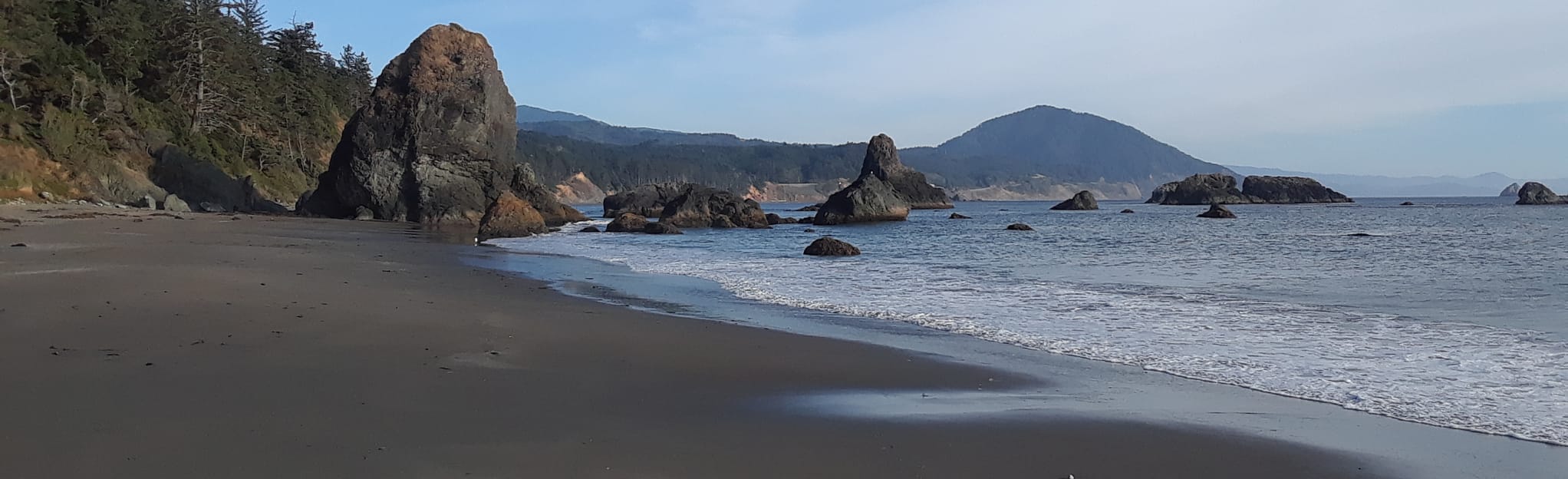 Battle Rock Wayfinding Point Beach, Oregon - 63 Reviews, Map | AllTrails