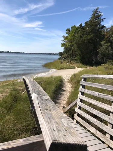 10 Best Trails and Hikes in Virginia Beach | AllTrails