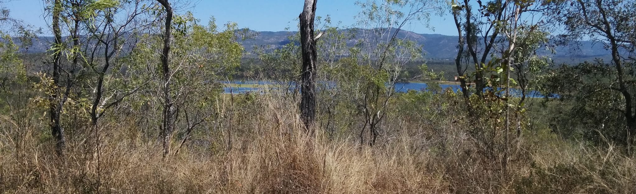 Mareeba Wetlands Lookout Track: 4 Reviews, Map - Queensland, Australia ...