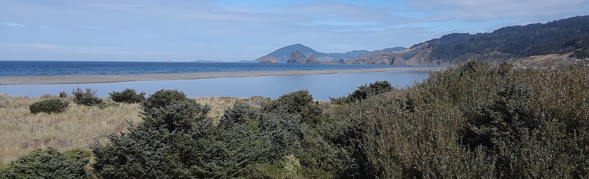 Ophir Trail to Euchre Creek Mouth, Oregon - 6 Reviews, Map | AllTrails