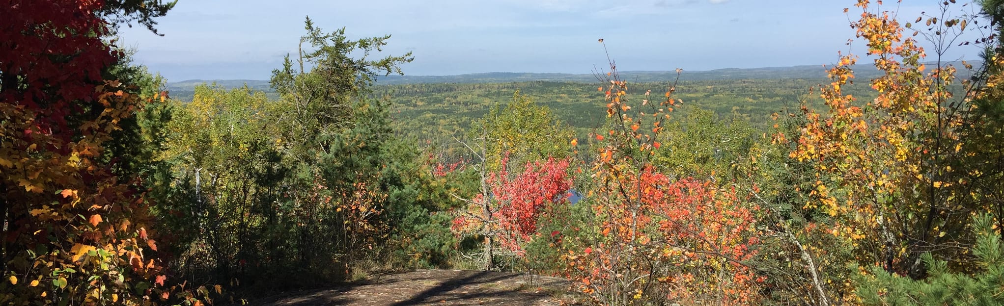 Blueberry Hill Trail: 57 Reviews, Map - Minnesota | AllTrails