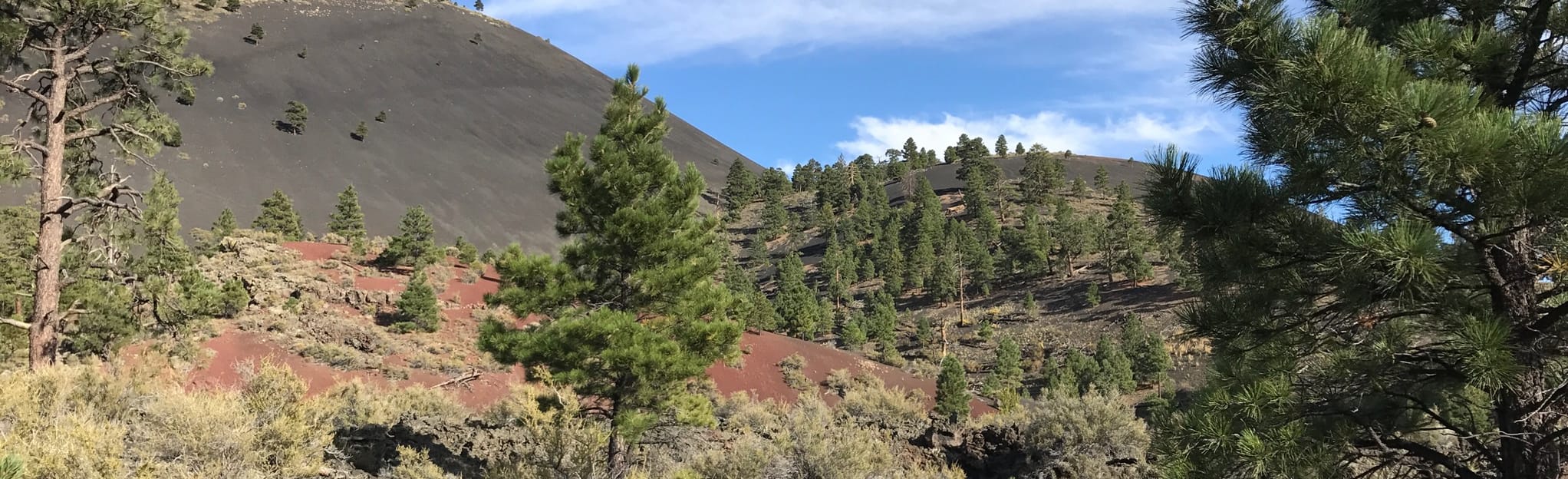 Lava Flow Trail, Arizona - 944 Reviews, Map | AllTrails