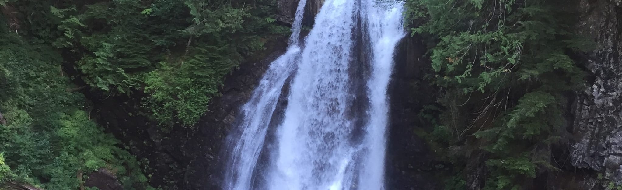 Lady Falls Trail: 87 Reviews, Map - British Columbia, Canada | AllTrails