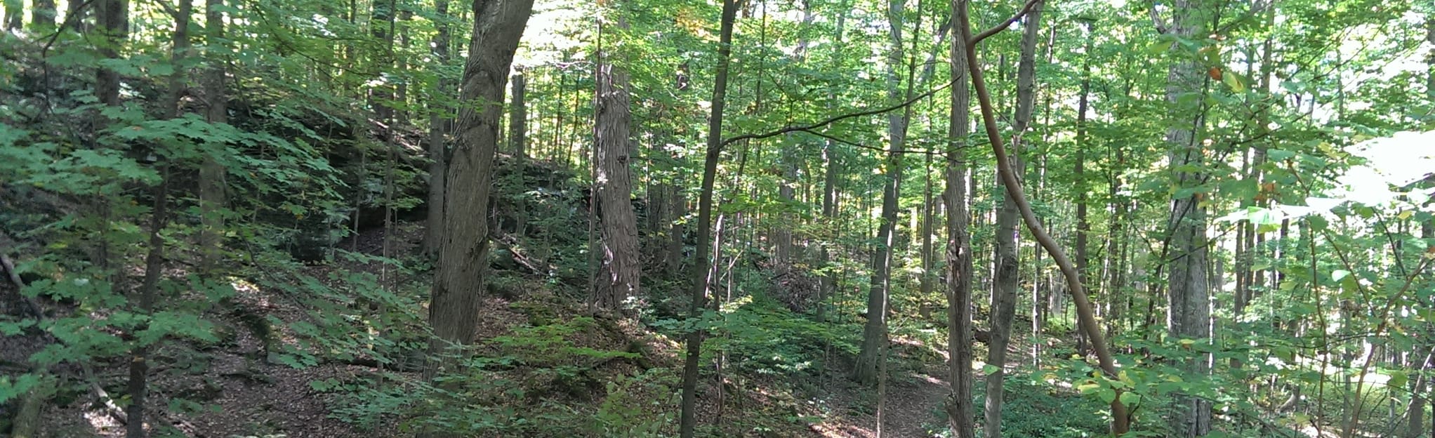 Ledge Lake Loop, Ohio - 735 Reviews, Map | AllTrails