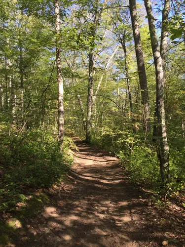 Best Hikes and Trails in Snake Den State Park | AllTrails