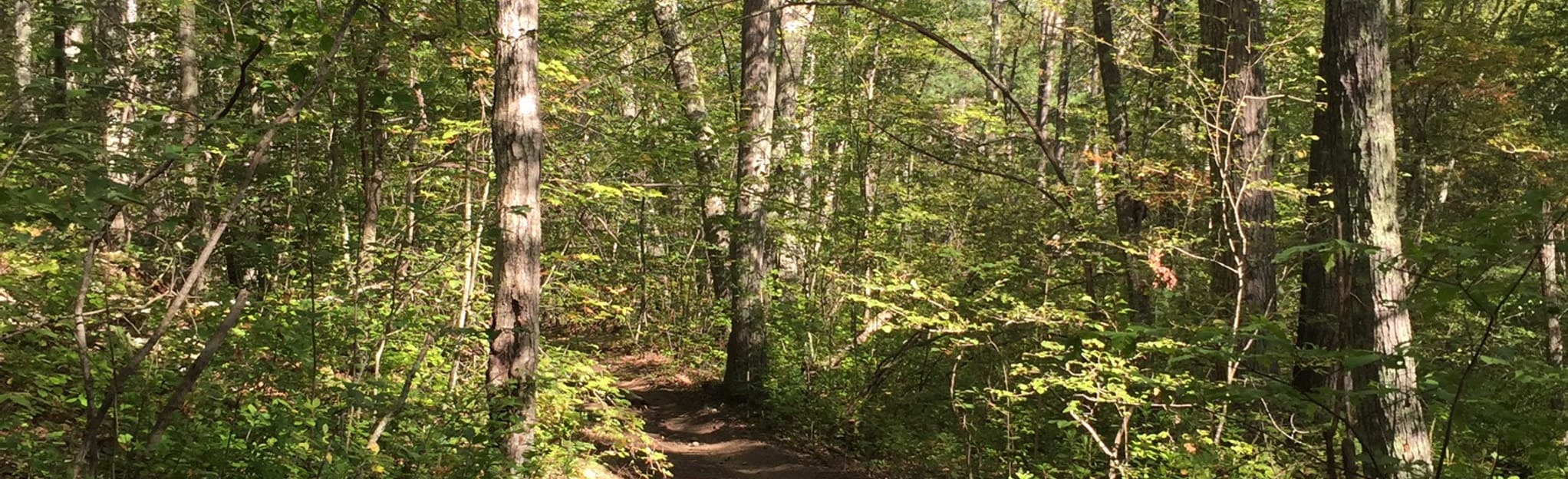 Snake Den Loop, Rhode Island - 677 Reviews, Map | AllTrails