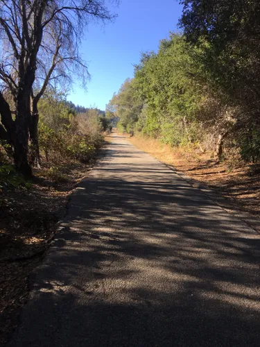 Best 10 Hiking Trails in Pogonip Open Space Preserve | AllTrails