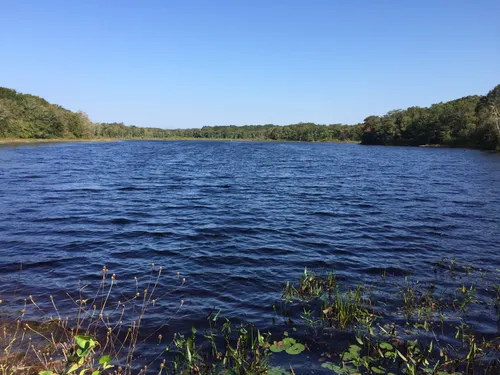 Best Hikes and Trails in Simmons Mill Pond Management area | AllTrails