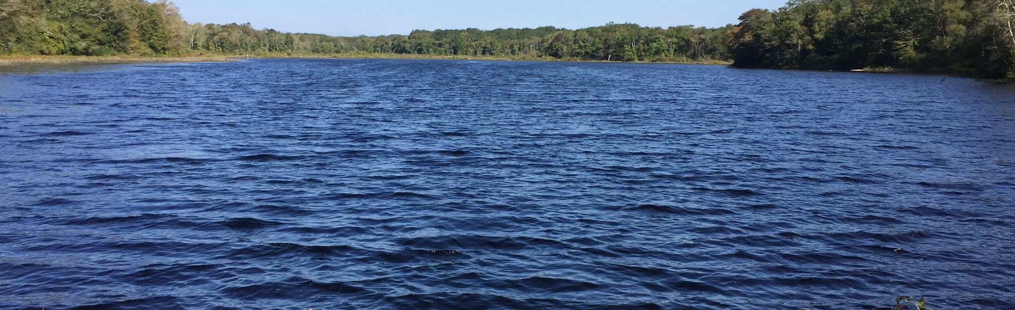 Farmsite Simmons Pond Loop, Rhode Island - 557 Reviews, Map | AllTrails