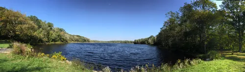 Best Hikes and Trails in Simmons Mill Pond Management area | AllTrails