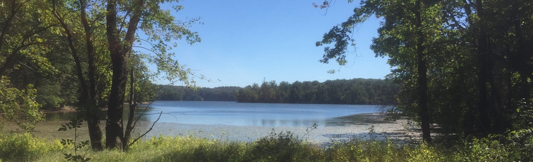 Loch Raven Power Line Trail: 174 Reviews, Map - Maryland | AllTrails