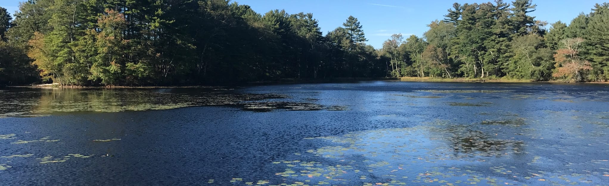 Tillinghast Pond Loop | Map, Guide - Rhode Island | AllTrails