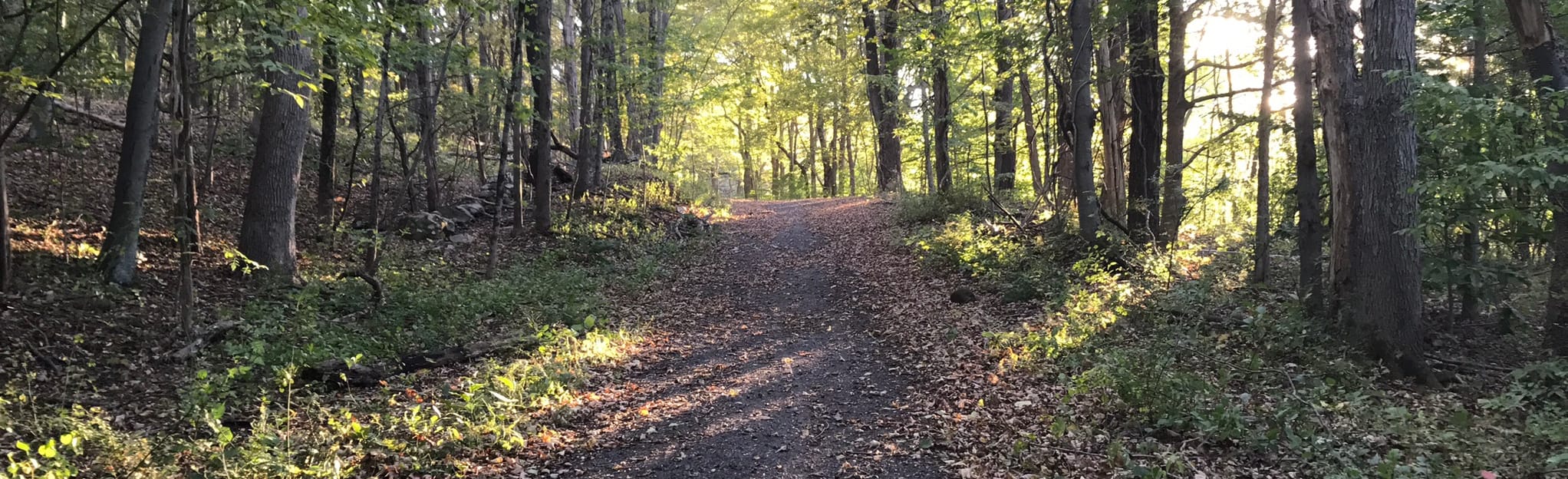 Tyler Mill Run Trail, Connecticut - 539 Reviews, Map | AllTrails