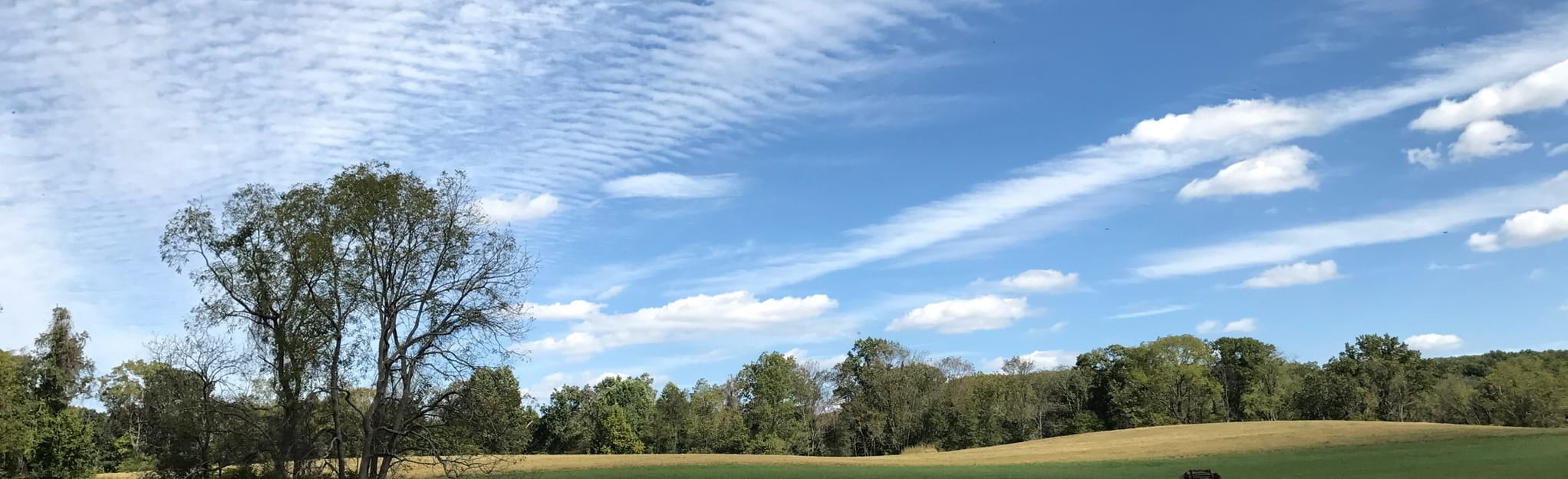 Jerusalem Mills and Little Gunpowder Short Loop Trail: 1595 Reviews ...