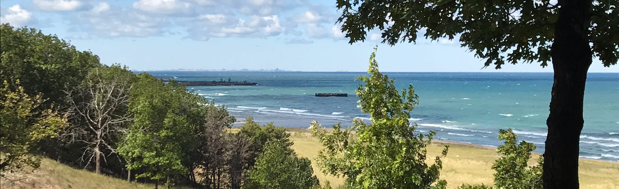 Cowles Bog Trail, Indiana - 2,410 Reviews, Map | AllTrails