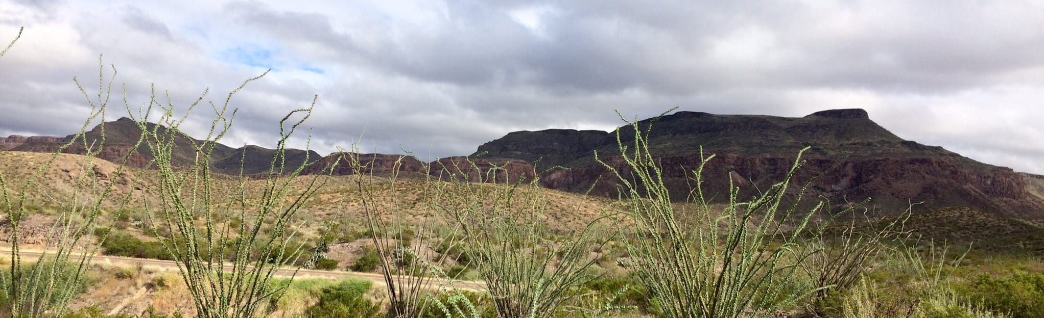 Closed Canyon Trail, Texas - 664 Reviews, Map | AllTrails