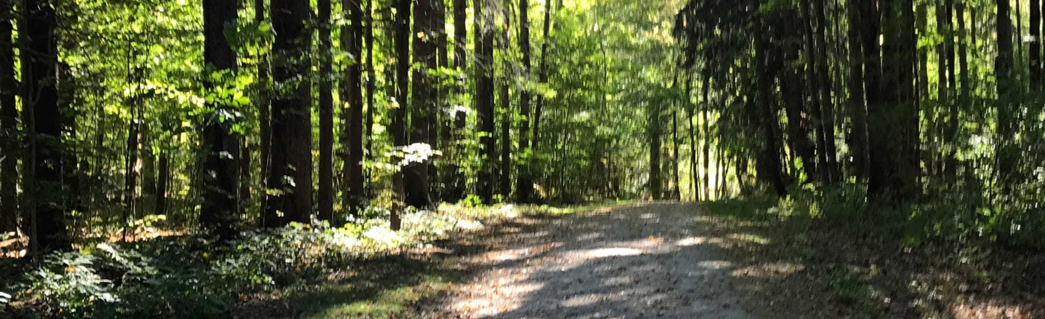 Maple Trail, Ohio - 18 Reviews, Map | AllTrails