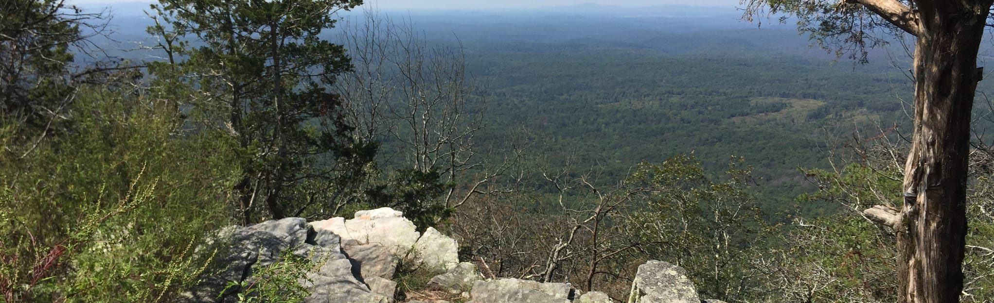 Pinhoti Trail: Adam's Gap to Cheaha State Park, Alabama - 122 Reviews ...