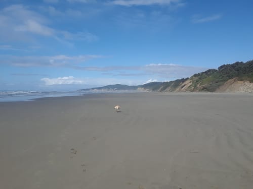 Best Hikes and Trails in Seven Devils State Recreation Site | AllTrails