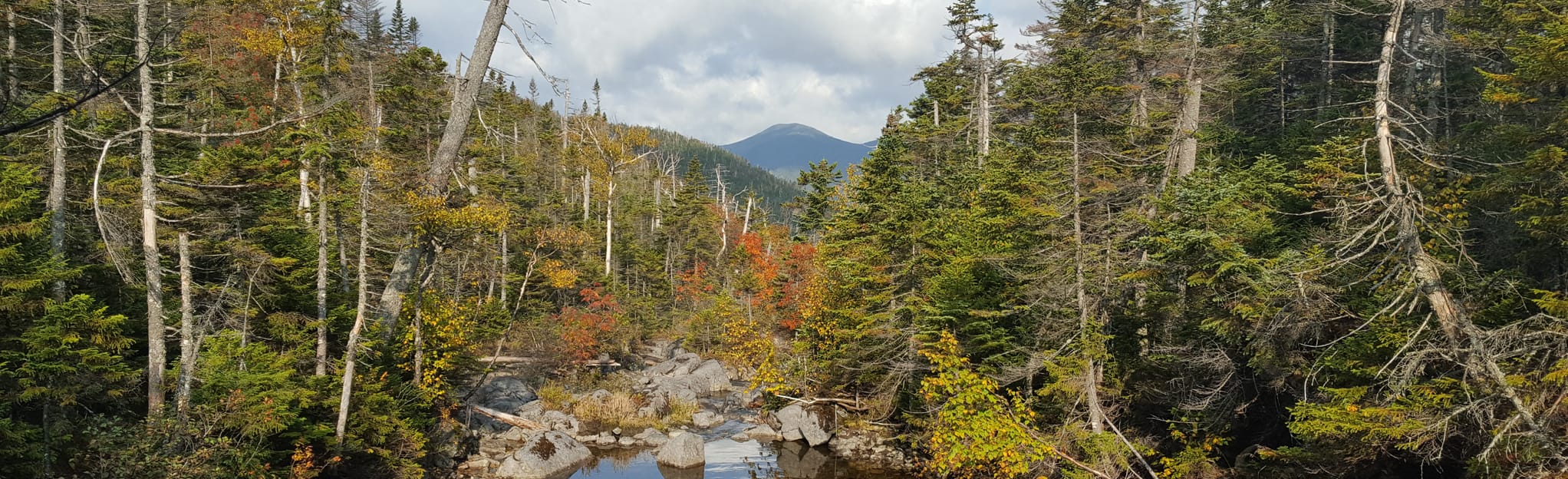 Mount Redfield Trail: 45 Reviews, Map - New York | AllTrails