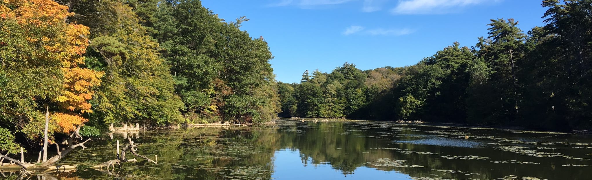 Springwater North Shore Trail Loop: 66 Reviews, Map - Ontario, Canada ...