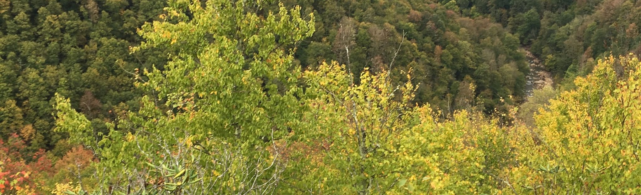 Pase Point via Dobbin House Trail, West Virginia - 416 Reviews, Map ...