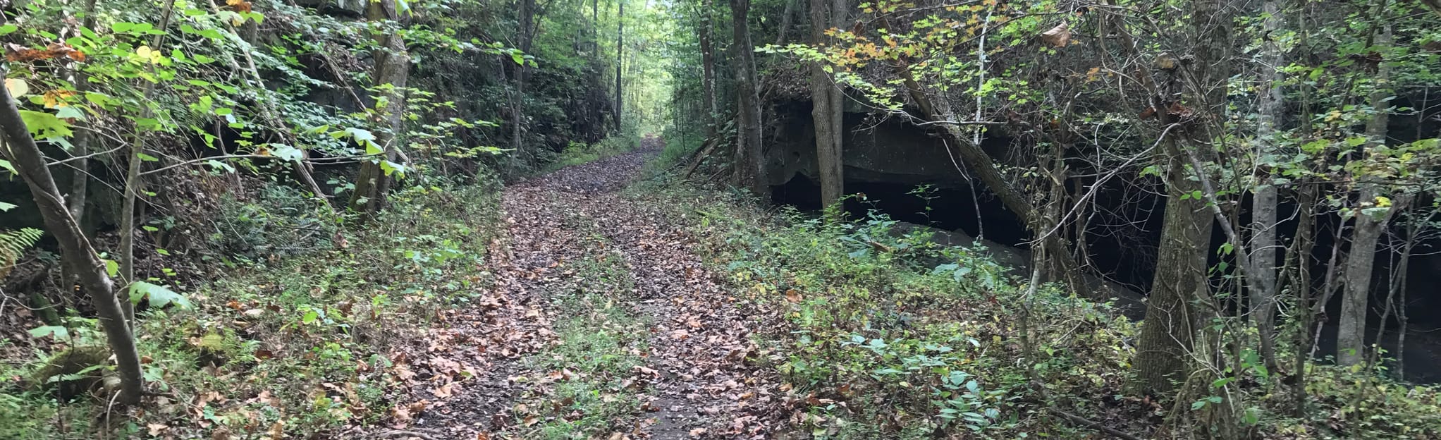Alpine Loop Trail : 50 Reviews, Map - Kentucky | AllTrails