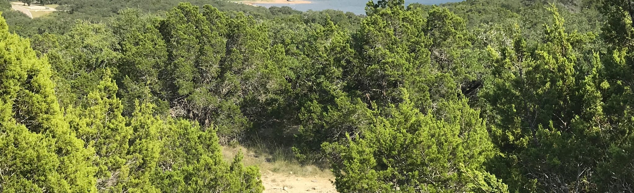 Pace Bend Park Trail | Map, Guide - Texas | AllTrails