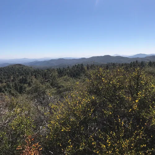 10 Best Trails and Hikes in Alpine | AllTrails