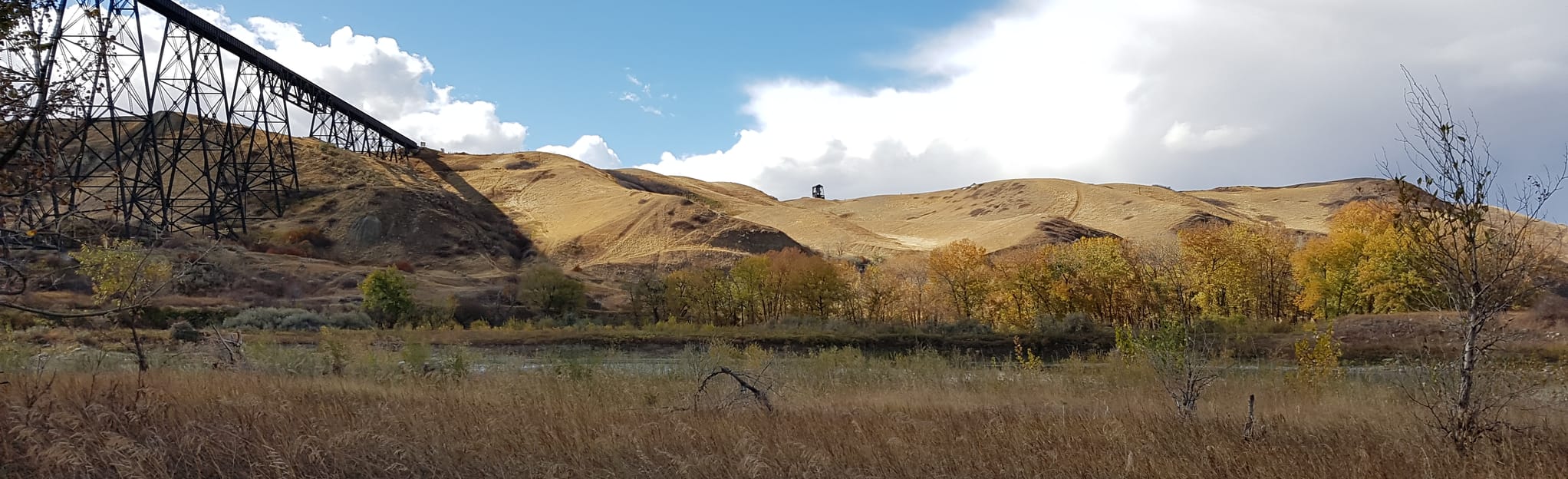 Cairo's Path, Alberta, Canada - 18 Reviews, Map | AllTrails