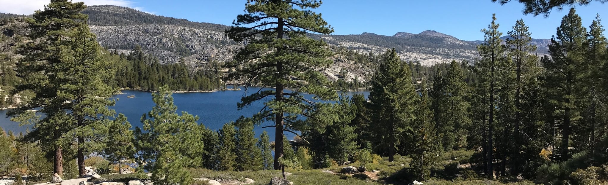 Loon Lake to Buck Island Lake, California - 169 Reviews, Map | AllTrails