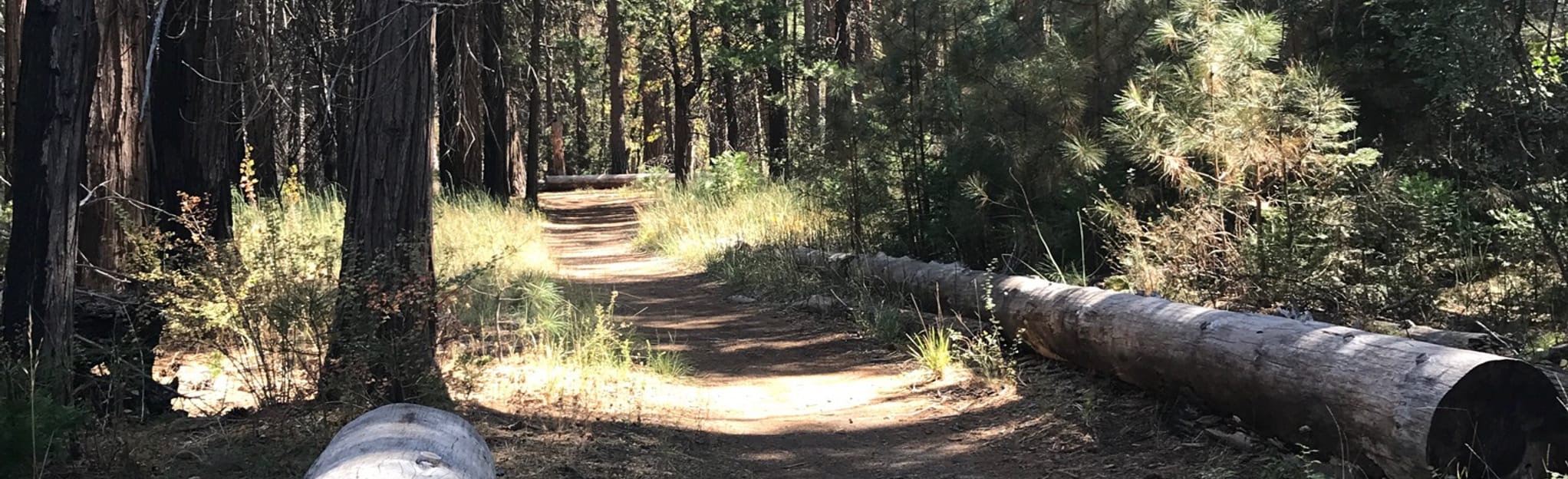 Middle Valley Loop Trail | Mapa, Roteiro - California | AllTrails