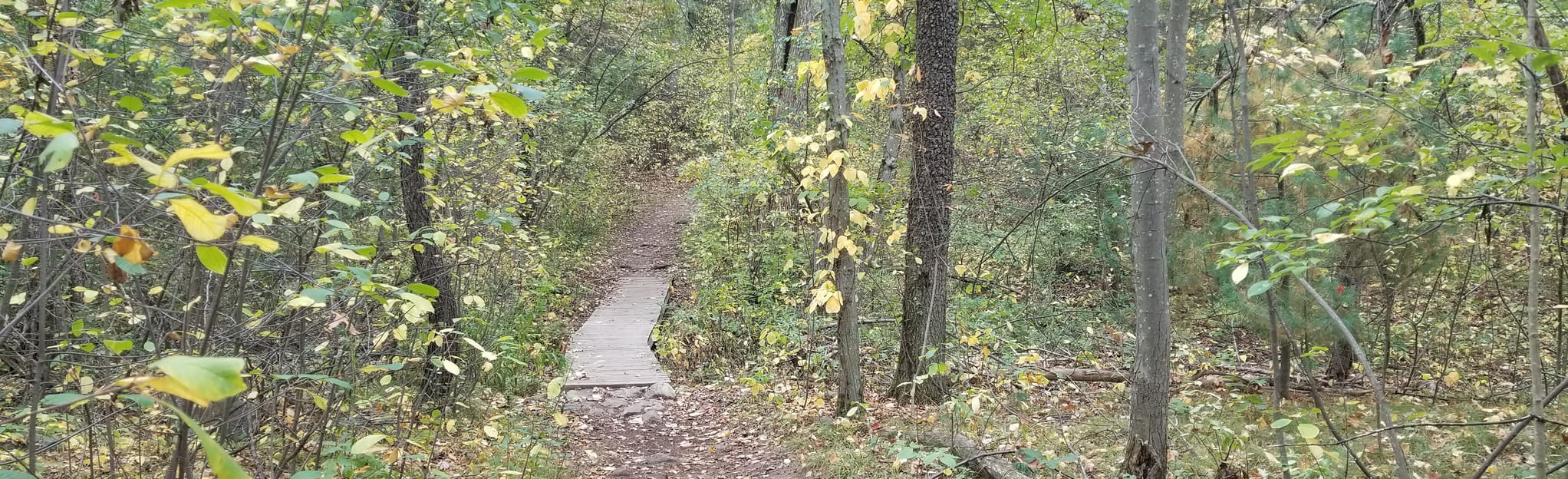 Lone Tree Hill , Massachusetts - 406 Reviews, Map | AllTrails