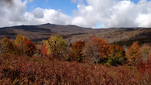 Grayson Highlands State Park: Die besten Reitwege in 2023 | AllTrails