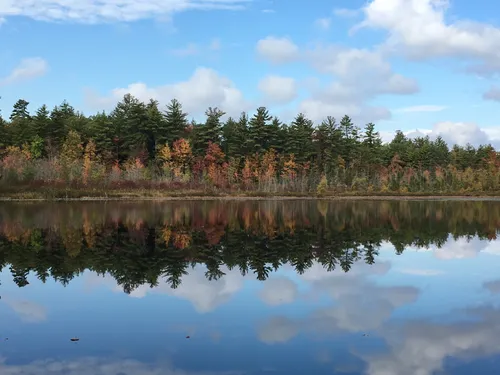 10 Best Hikes and Trails in Bear Brook State Park | AllTrails